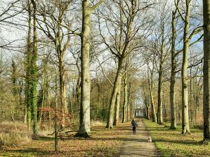 StationsOmmetje Breukelen