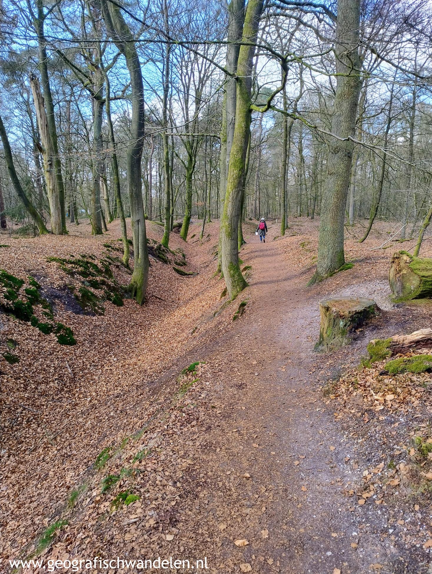Beekloopje Wolfheze-Heelsum