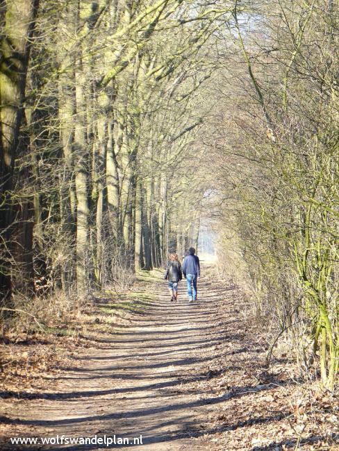 Trage Tocht Laag Keppel