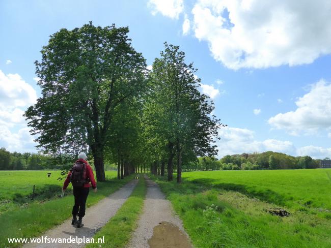 Trage Tocht Doorn