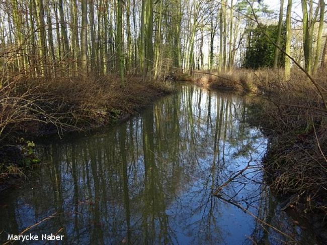 Landgoedwandeling Windesheim