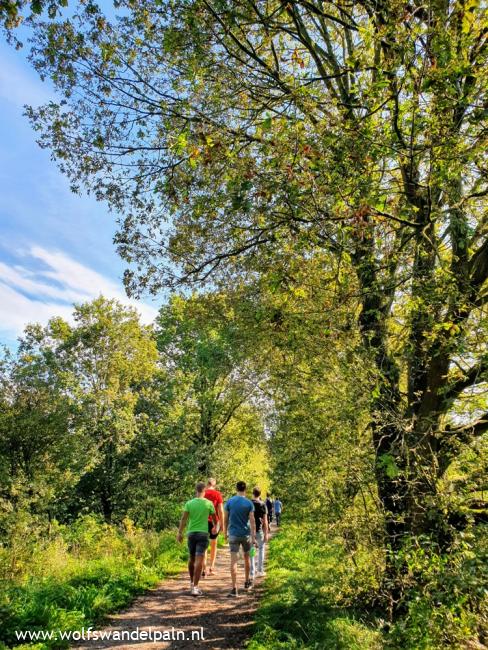 Trage Tocht Den Bosch