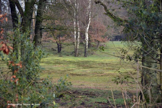 Springendal De Bronnen