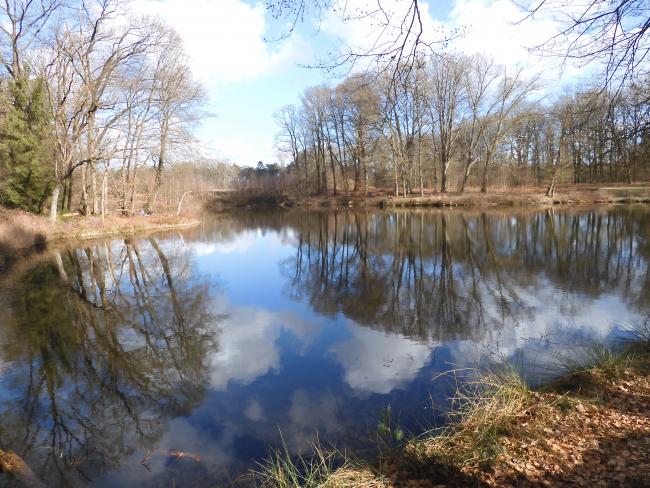 Springendal De Bronnen