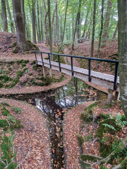 Beekloopje Paleispark Het Loo