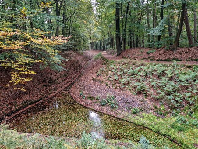 Beekloopje Paleispark Het Loo