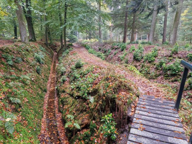 Beekloopje Paleispark Het Loo