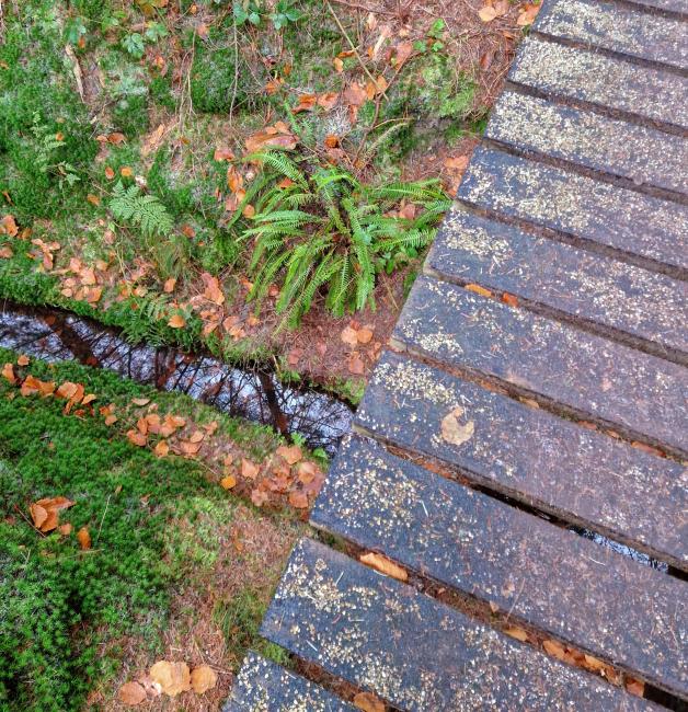 Beekloopje Paleispark Het Loo