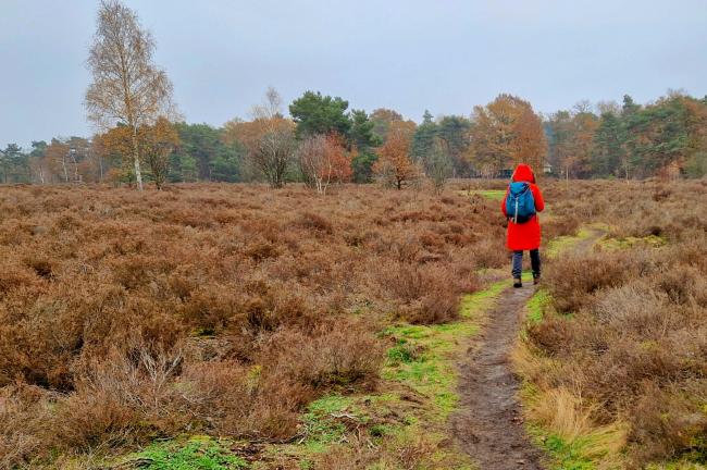 Schaarsbergen gps-wandeling