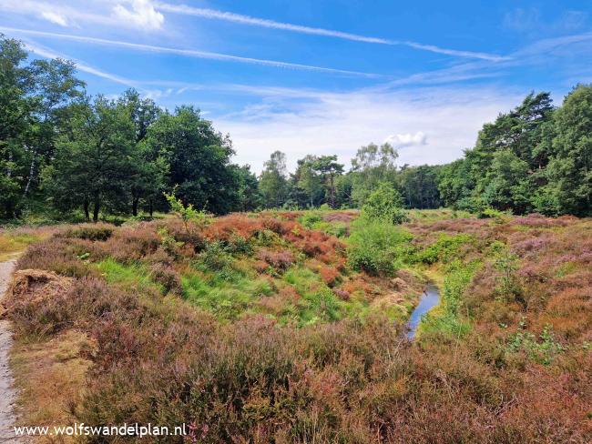 Beekloopje Wolfheze-Heelsum