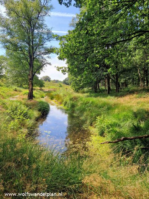 Beekloopje Wolfheze-Heelsum