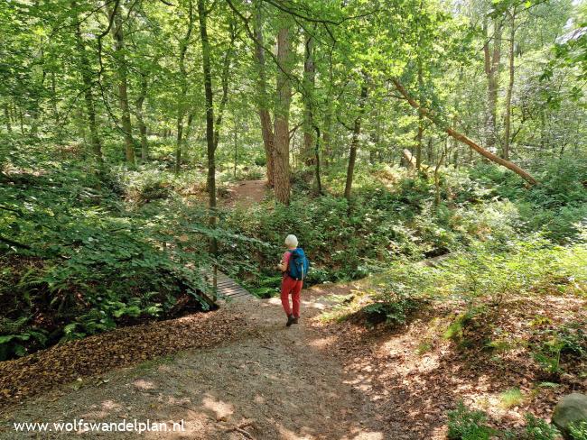 Beekloopje Wolfheze-Heelsum