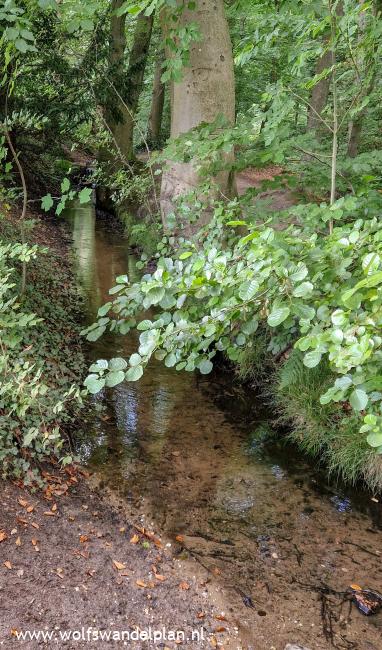 Beekloopje Oosterbeek