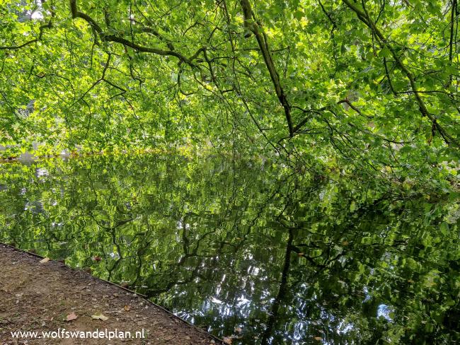 Beekloopje Oosterbeek