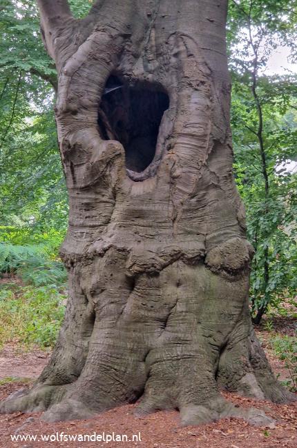Beekloopje Oosterbeek