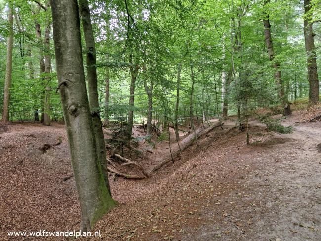 Beekloopje Oosterbeek