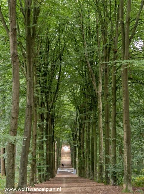 Beekloopje Oosterbeek