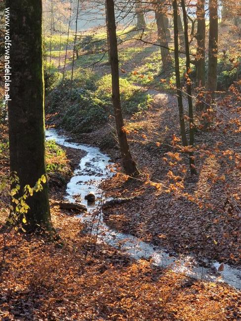 Beekloopje Oosterbeek