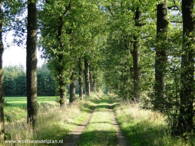 Trage Tocht Brummen-Dieren