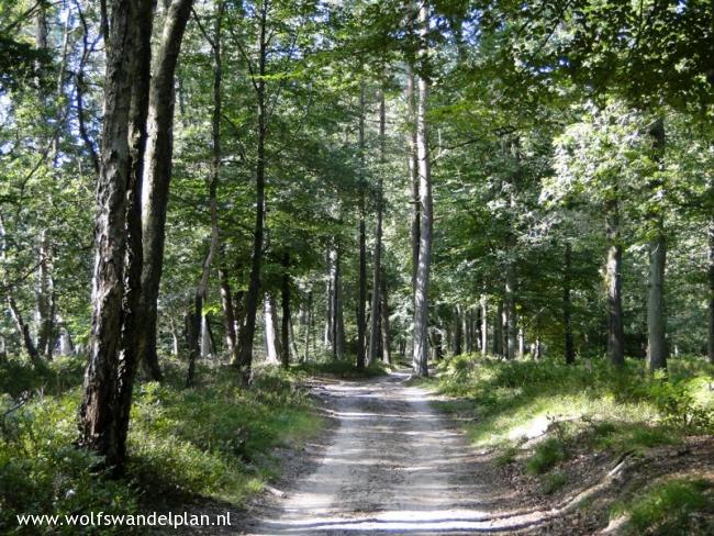 Trage Tocht Brummen-Dieren