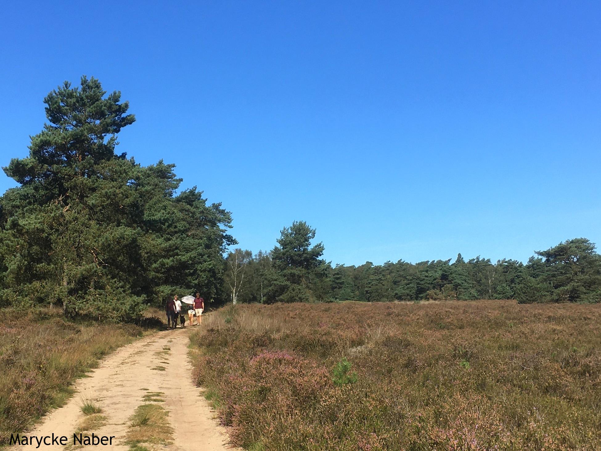 Landgoedwandeling Vaassen