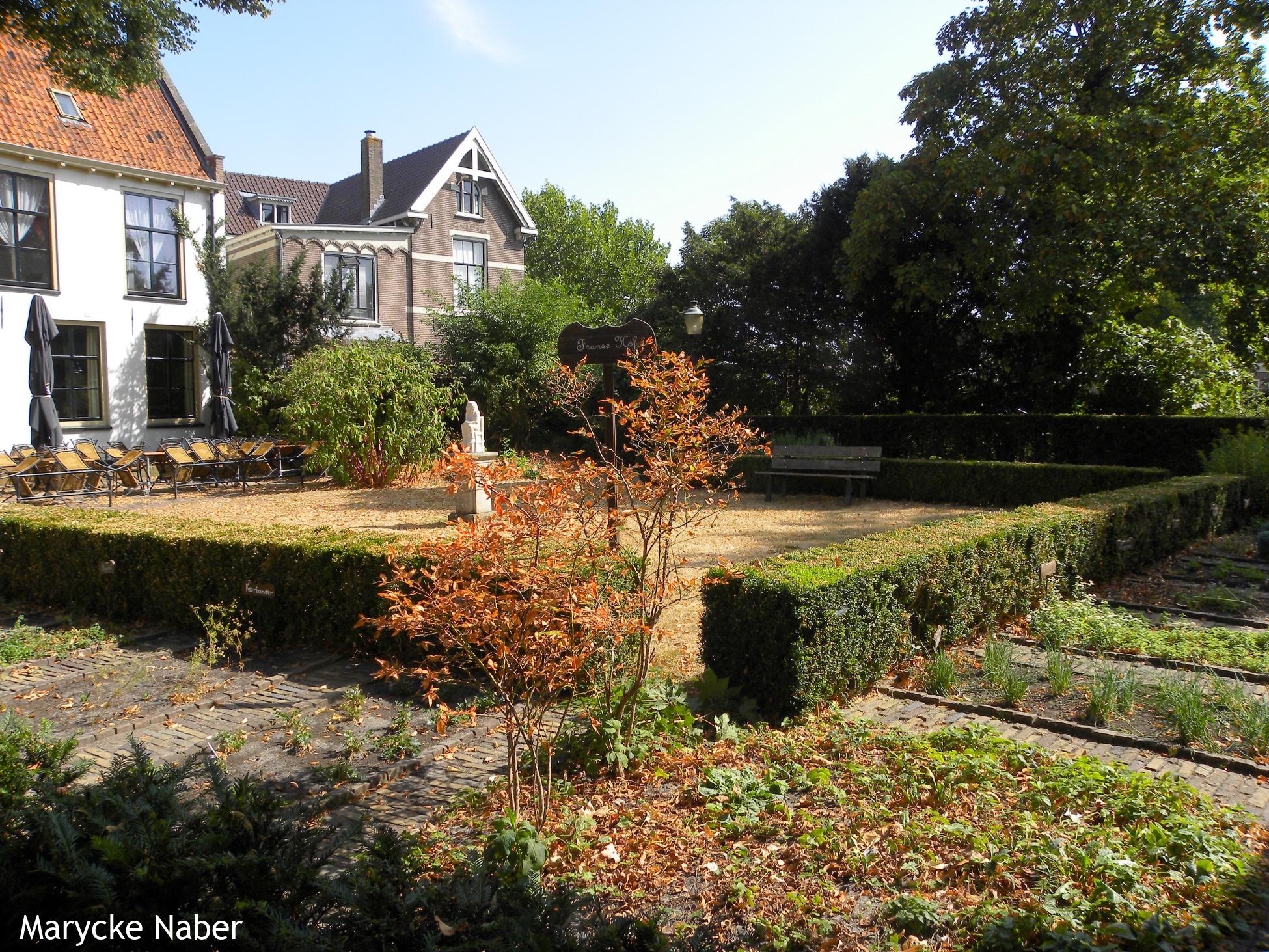Stadswandeling Hattem