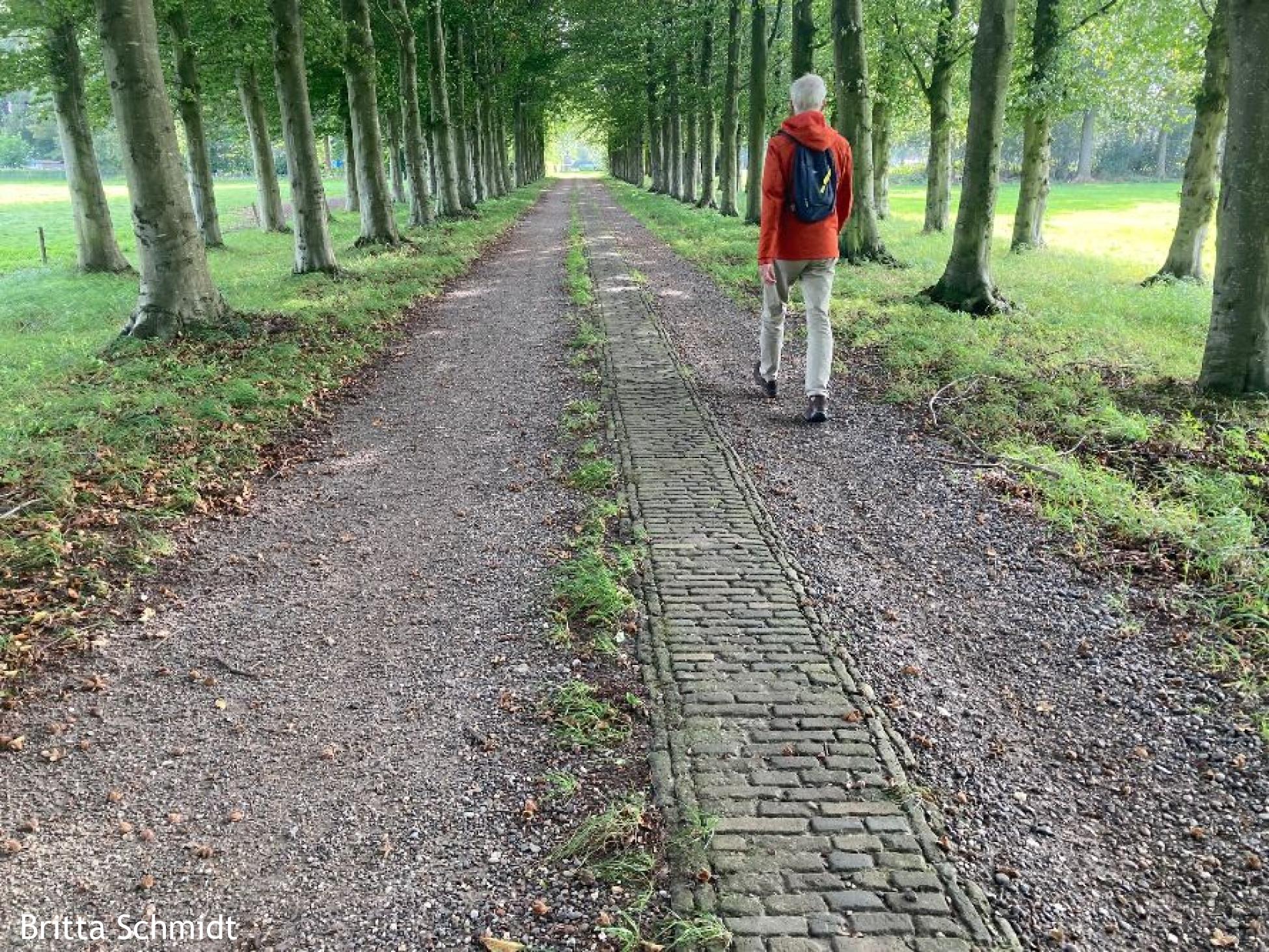 Knopenrondje Den Aalshorst