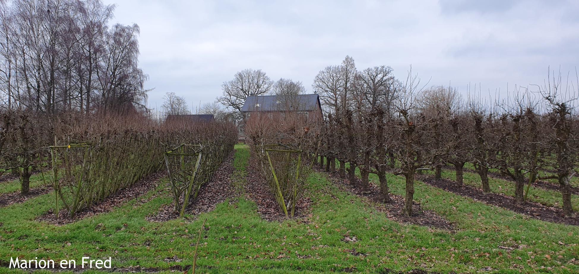 Kort en Prachtig Tienhoven aan de Lek
