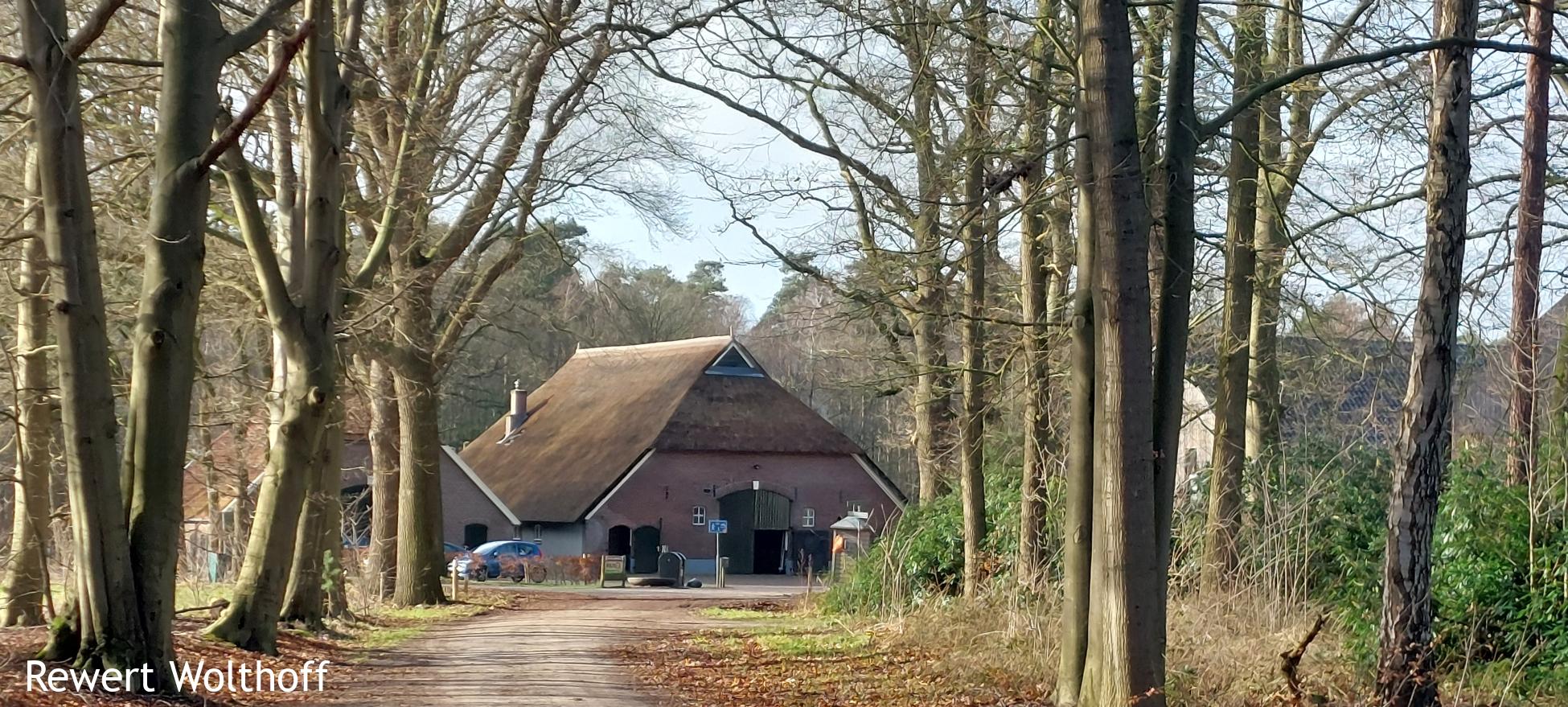 Knopenrondje Lettele