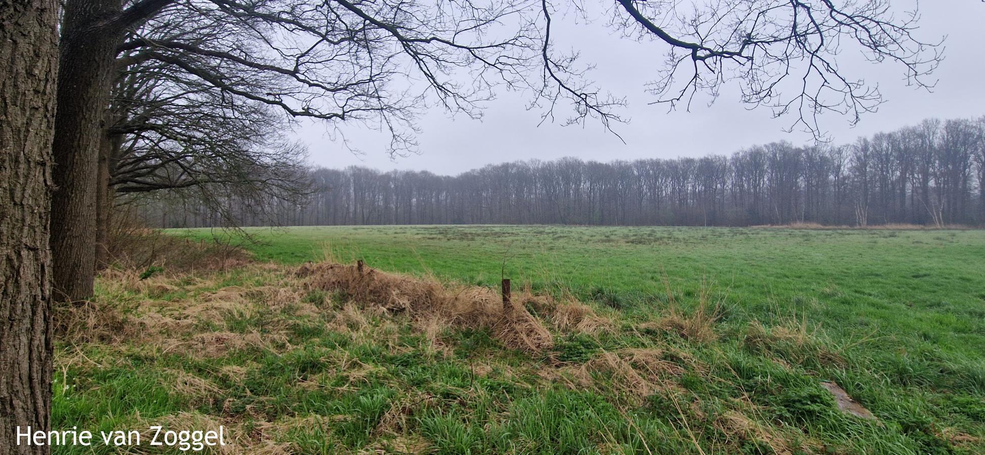 Knopenrondje Welberg