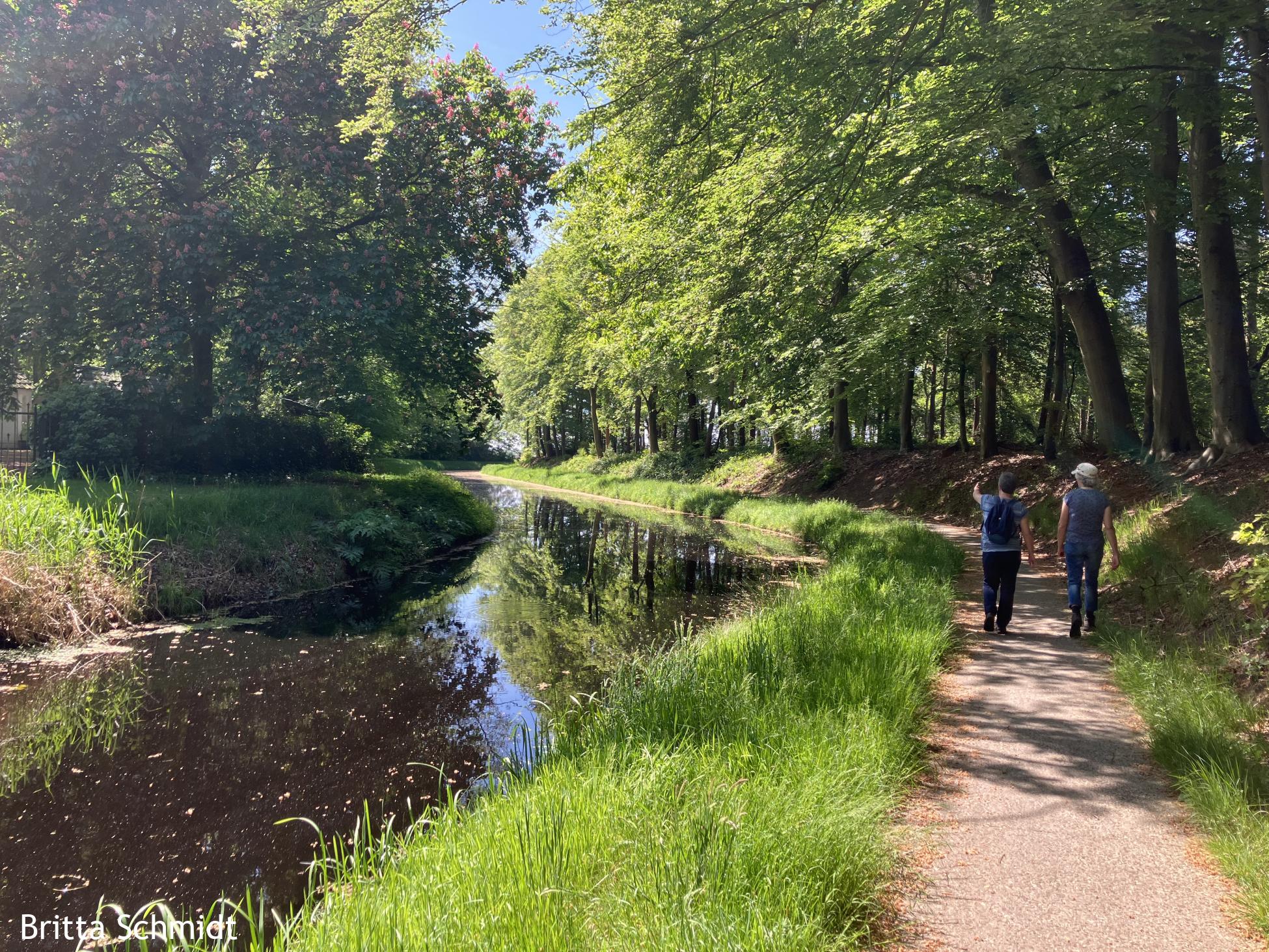 Knopenrondje Nieuwlande