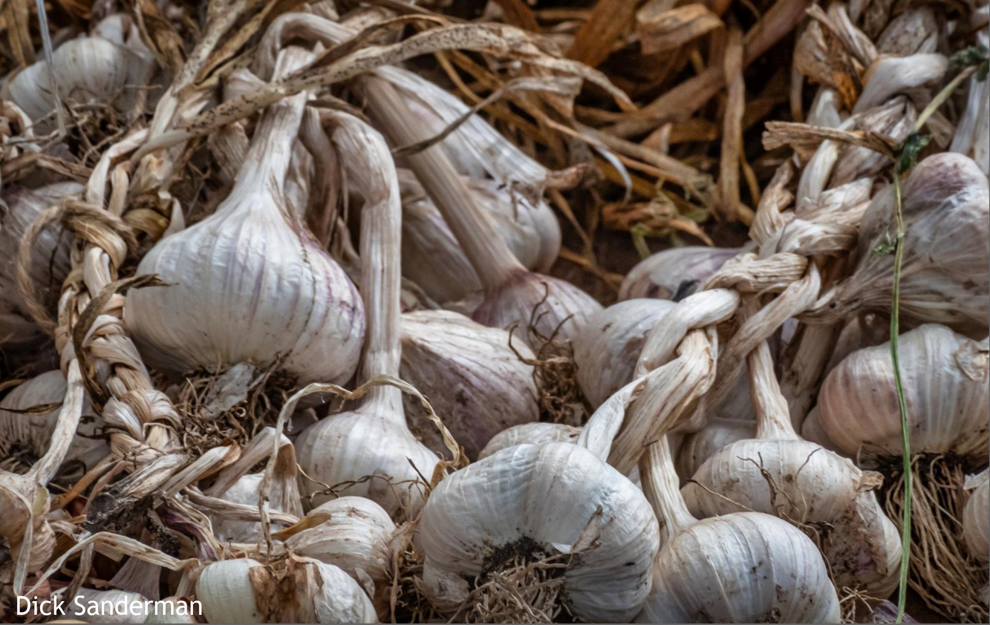 Trage Tocht 's-Graveland
